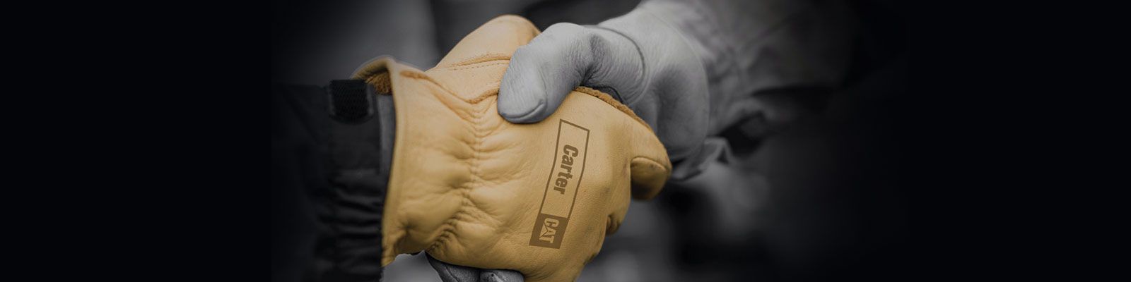 Better Together | The Alban Cat Acquisition | Carter Machinery